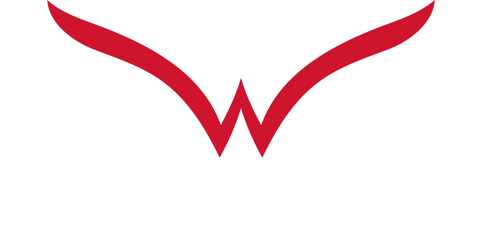 Wings Flight Training - Let's Fly!